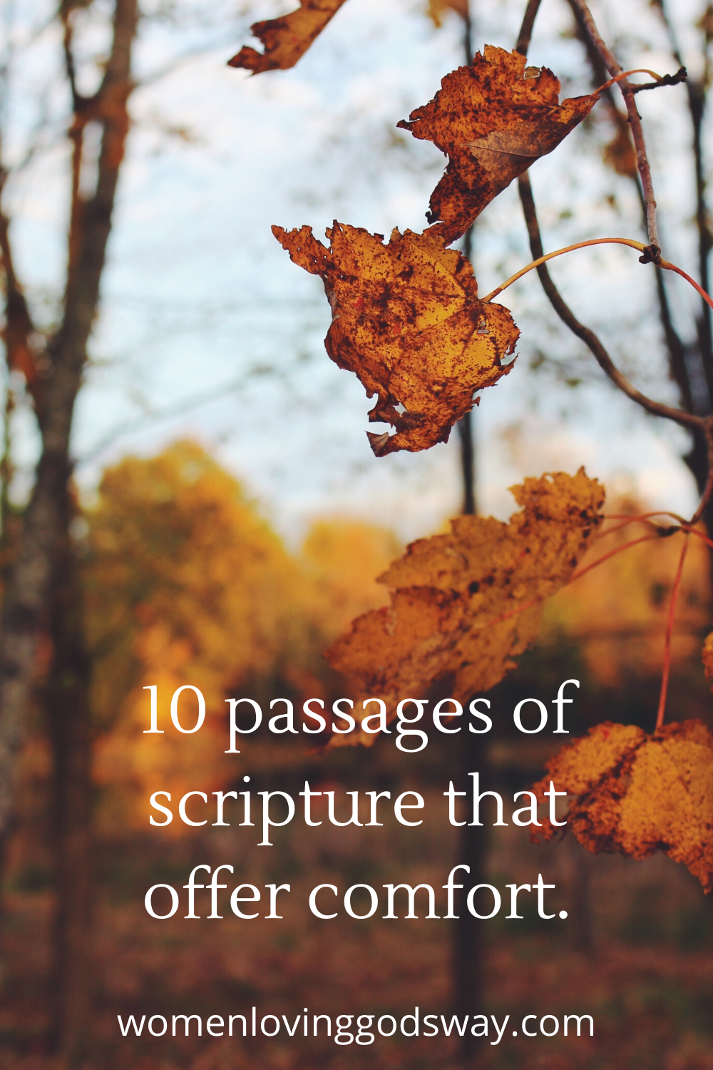 10 passages of scripture that offer comfort. - Keneesha Liddie